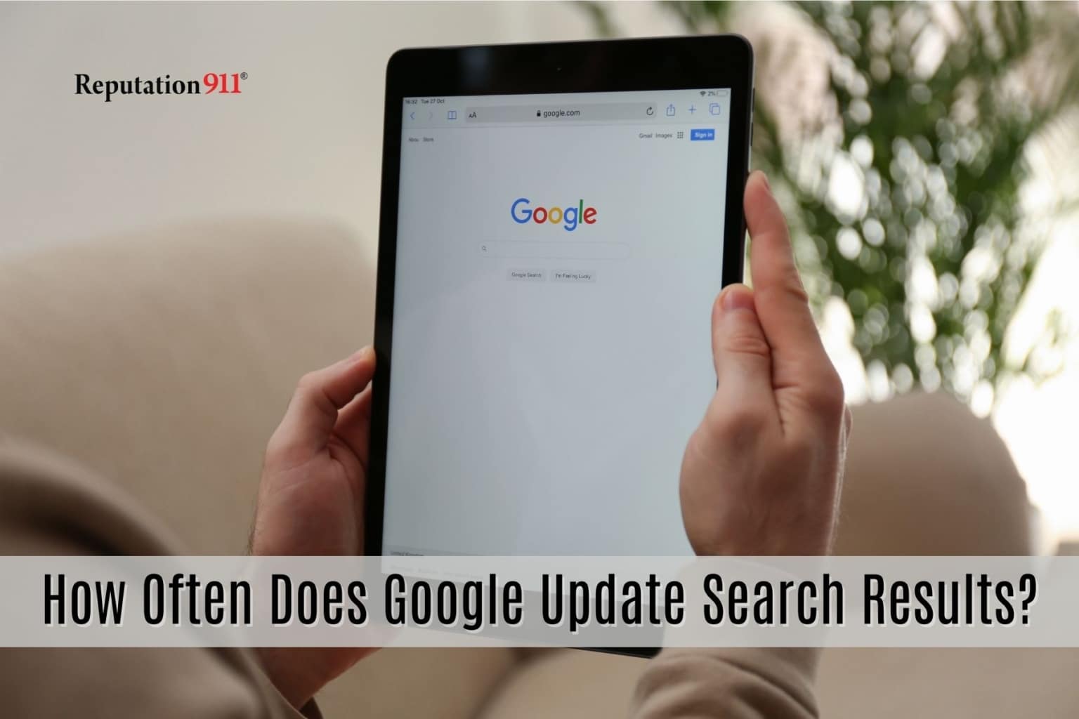 How Often Does Google Update Search Results - Complete Guide